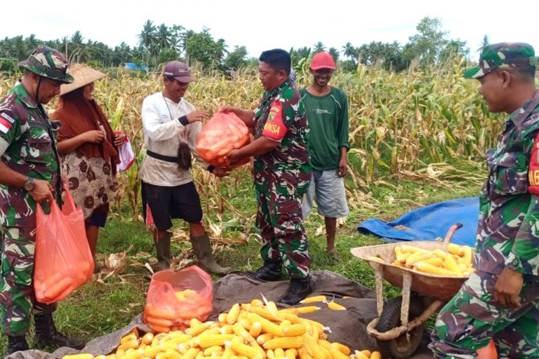 Bantu Mensejahterakan Masyarakat di Wilayah Teritorialnya, Babinsa ...